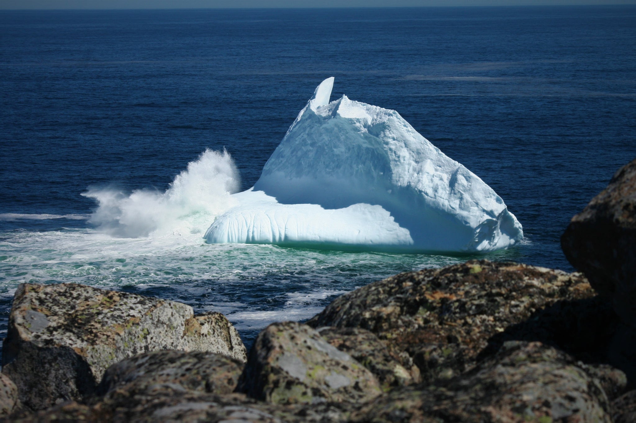 Bonavista Coffee – Bonavista Coffee Company